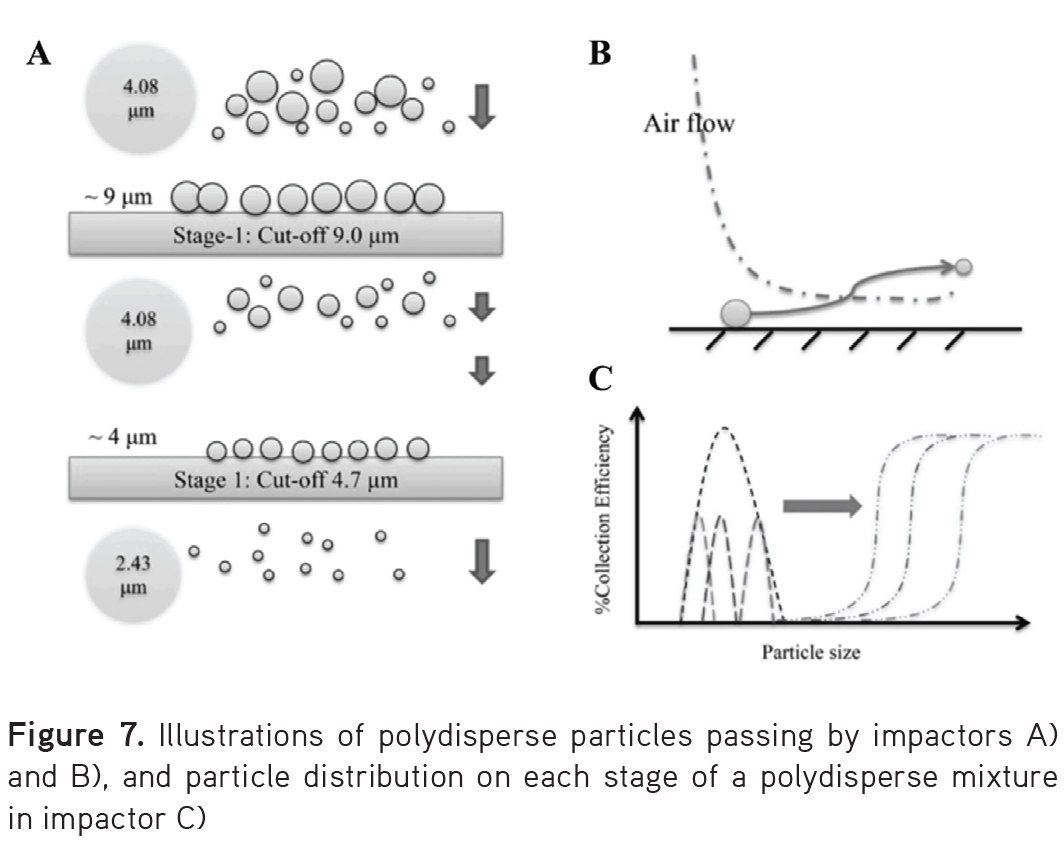 Deposition Pattern of Polydisperse Dry Powders in Andersen Cascade ...