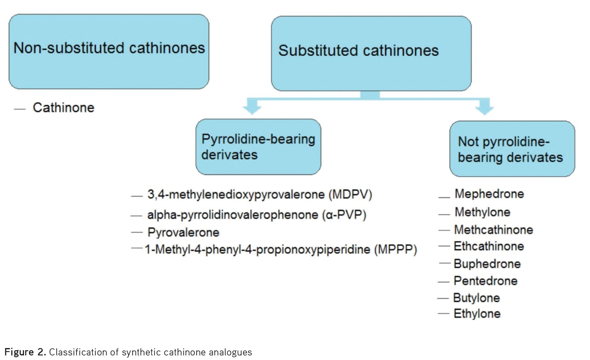 Psychoactive Bath Salts and Neurotoxicity Risk - Turkish Journal of ...