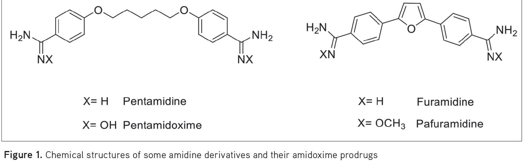 Synthesis and Structure Elucidation of New Benzimidazole Amidoxime ...