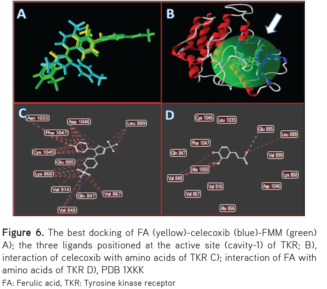 Ferulic Acid Prevents Angiogenesis Through Cyclooxygenase-2 and ...