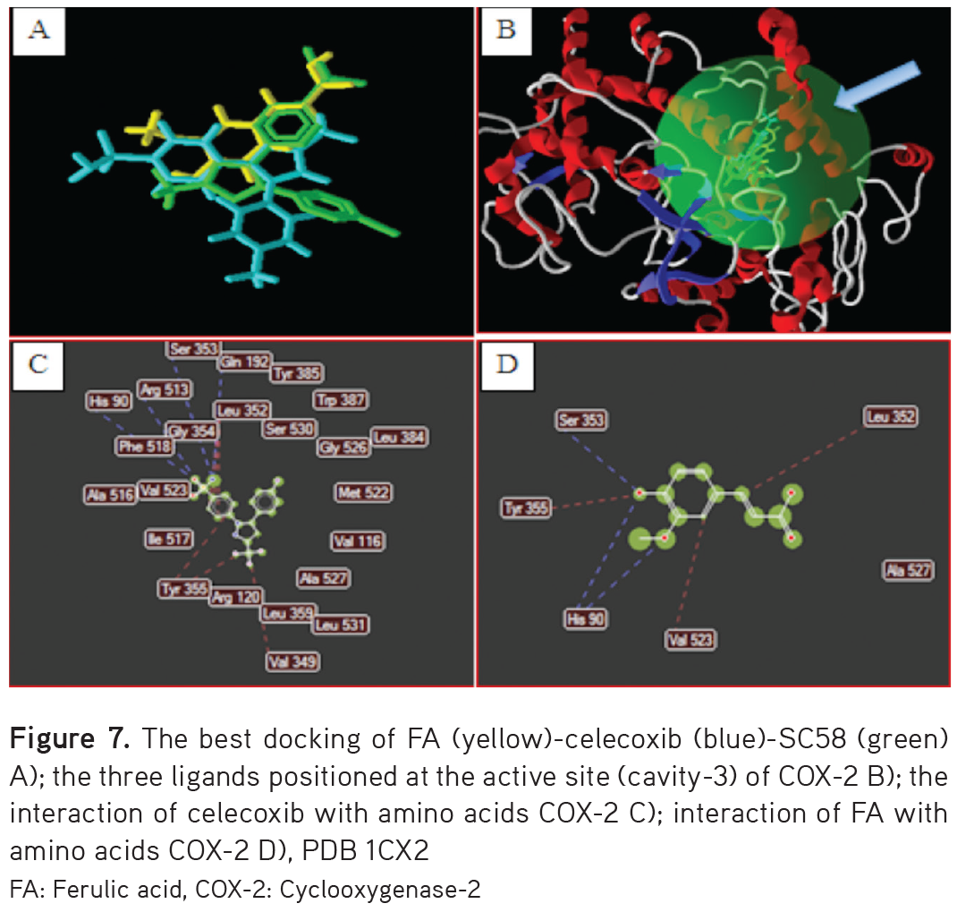 Ferulic Acid Prevents Angiogenesis Through Cyclooxygenase-2 and ...