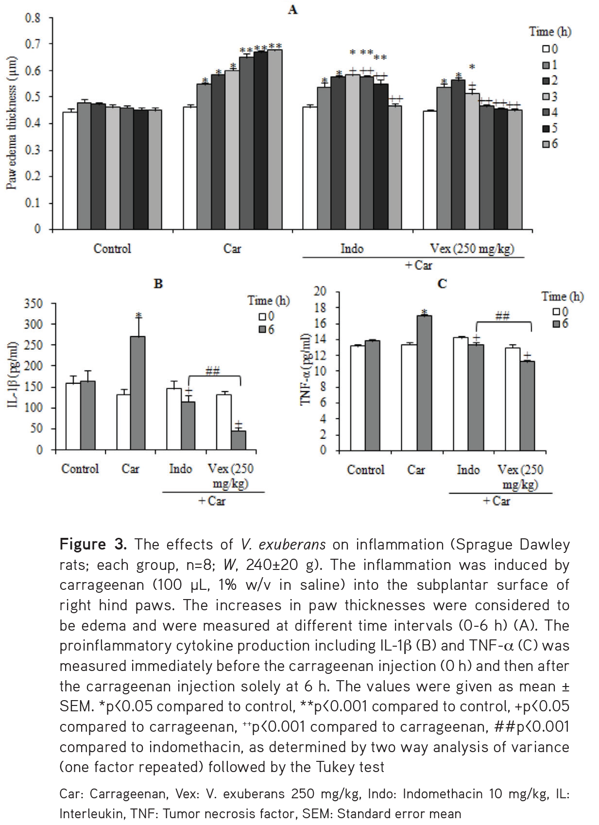 The In Vivo Antinociceptive and Antiinflammatory Effects of Verbascum ...