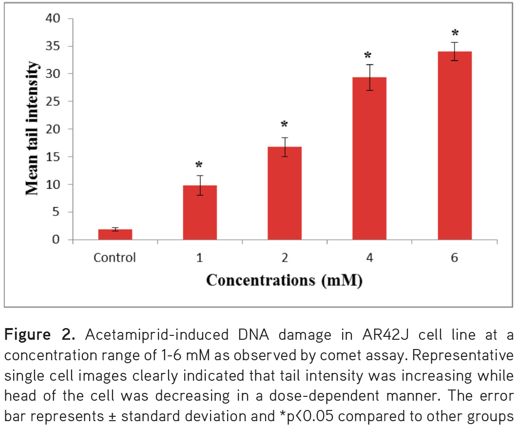 Acetamiprid-induced Cyto- and Genotoxicity in the AR42J Pancreatic Cell ...