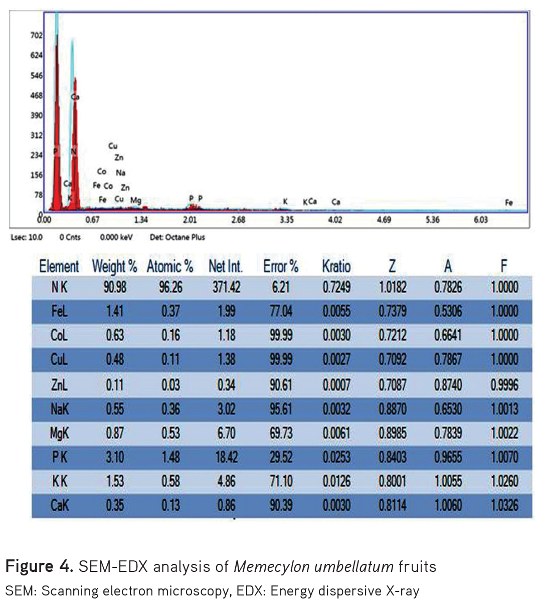Comparative Seed Morphology, Pharmacognostic, Phytochemical, and ...