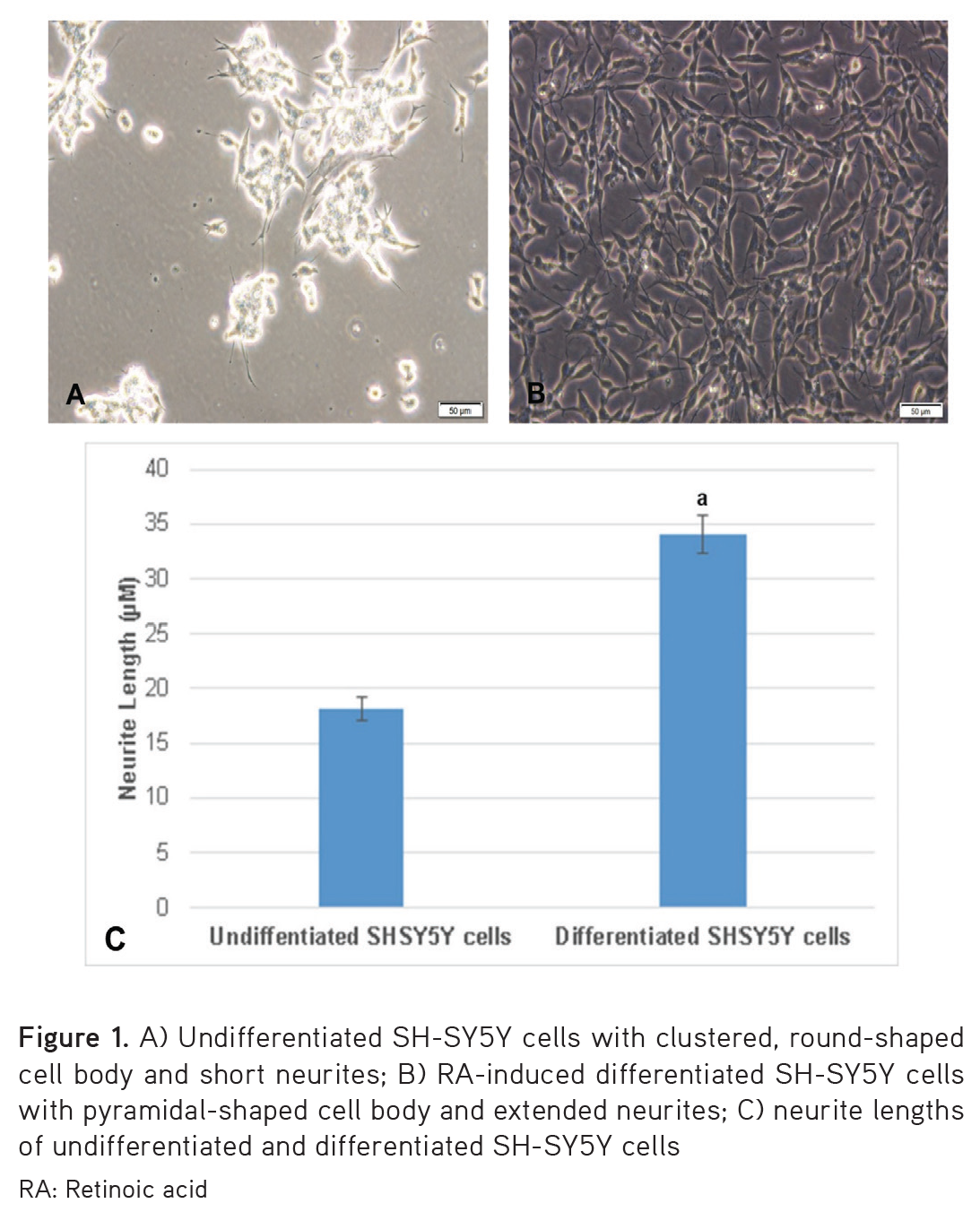 Flusilazole Induced Cytotoxicity and Inhibition of Neuronal Growth in ...