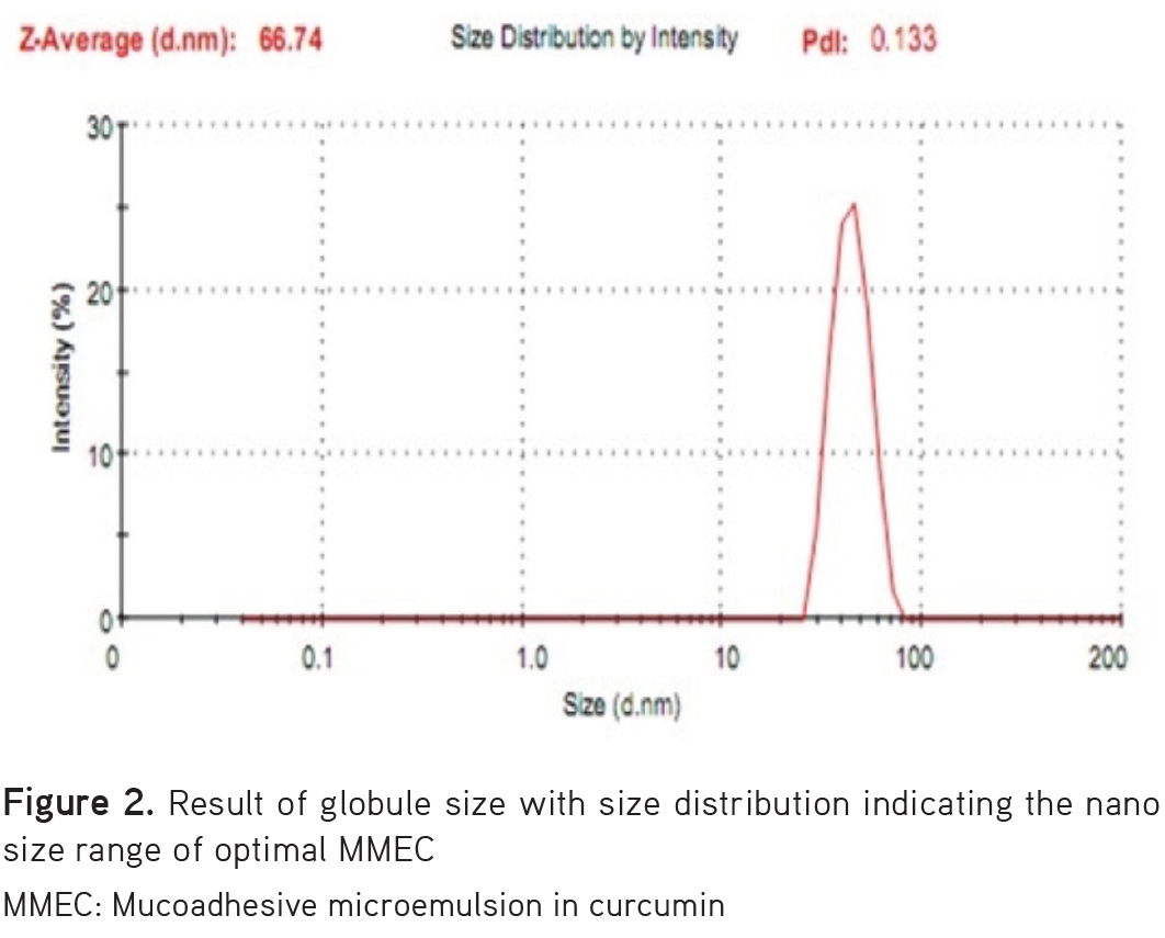Nasotransmucosal Delivery of Curcumin-Loaded Mucoadhesive ...