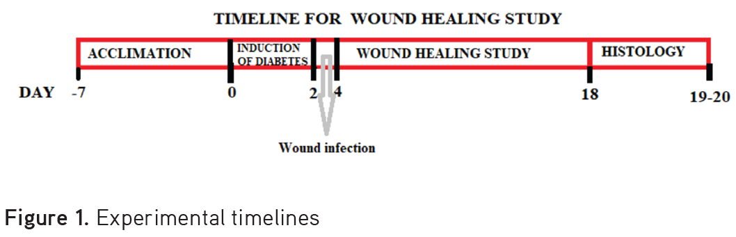 Chitosan-Based Microparticle Encapsulated Acinetobacter baumannii Phage ...