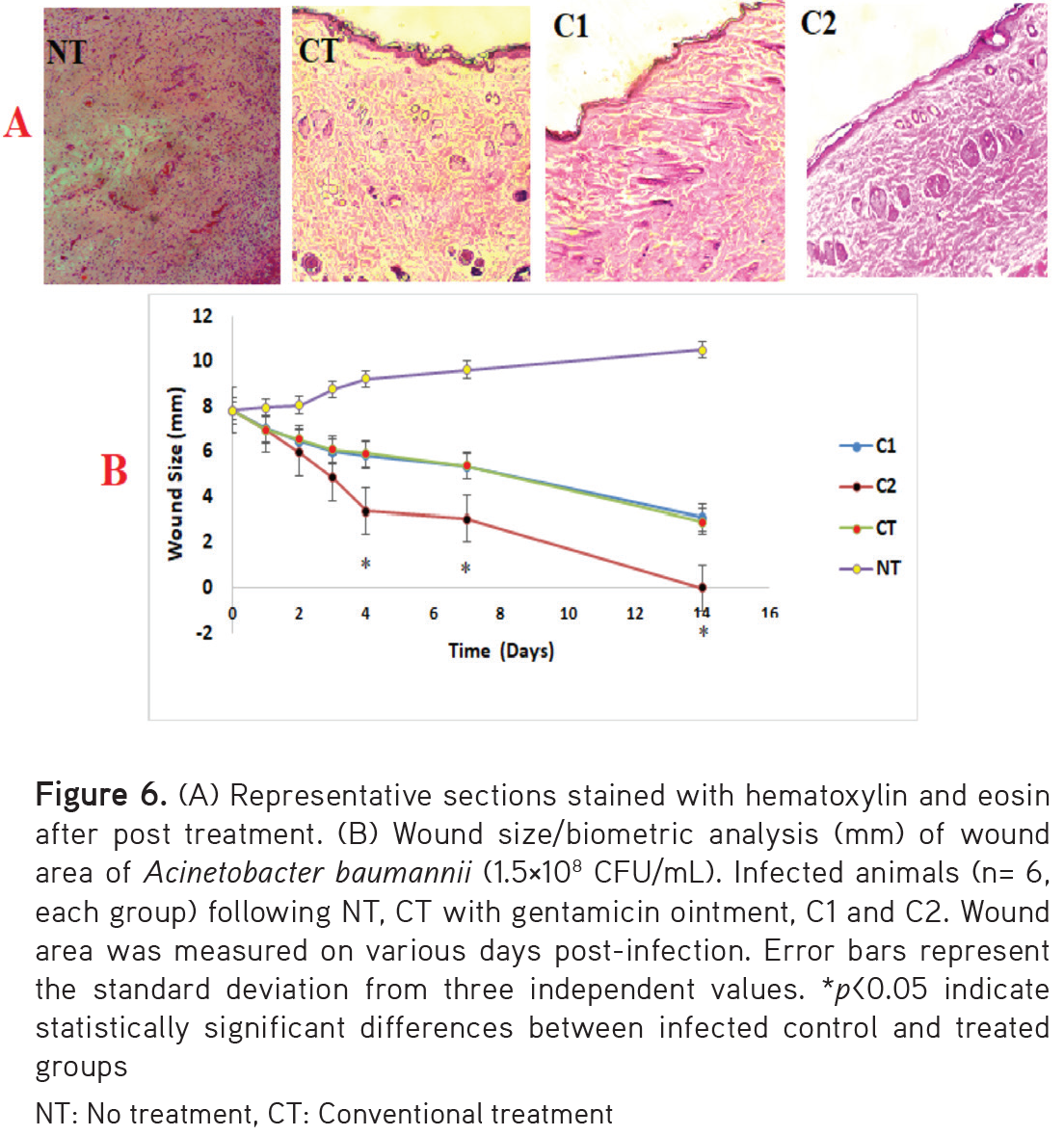 Chitosan-Based Microparticle Encapsulated Acinetobacter baumannii Phage ...