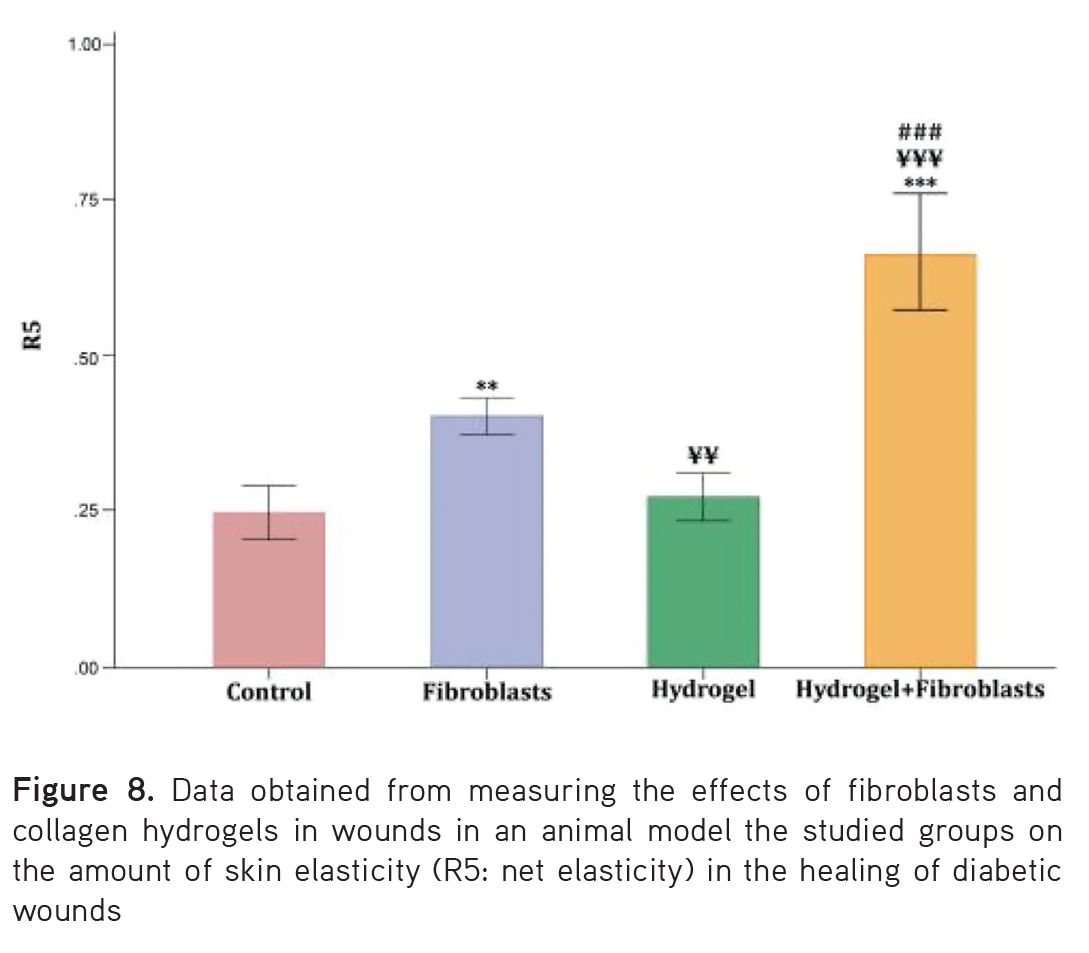 Cell Therapy and Investigation of the Angiogenesis of Fibroblasts with ...