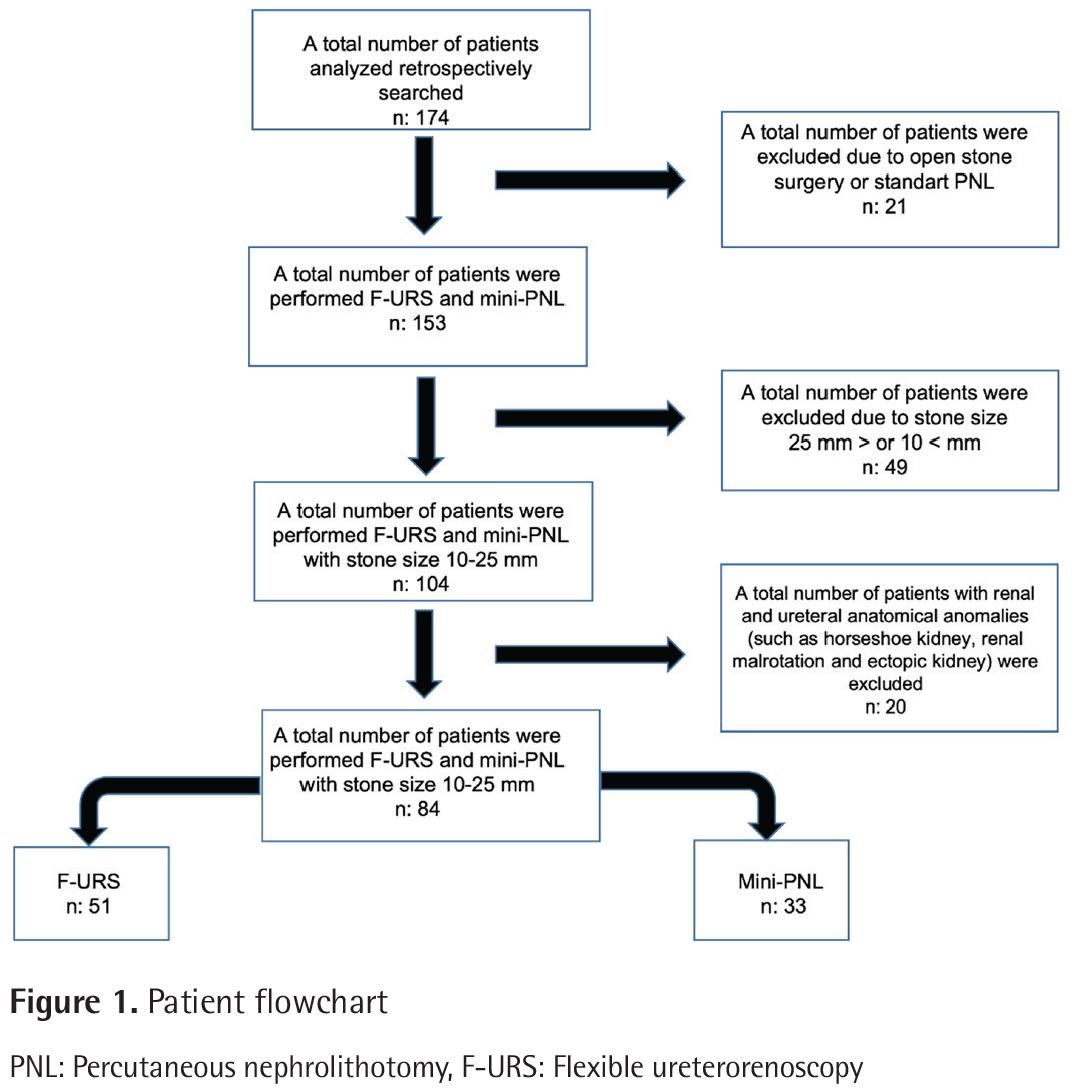The Comparison of Flexible Ureterorenoscopy and mini-Percutaneous ...