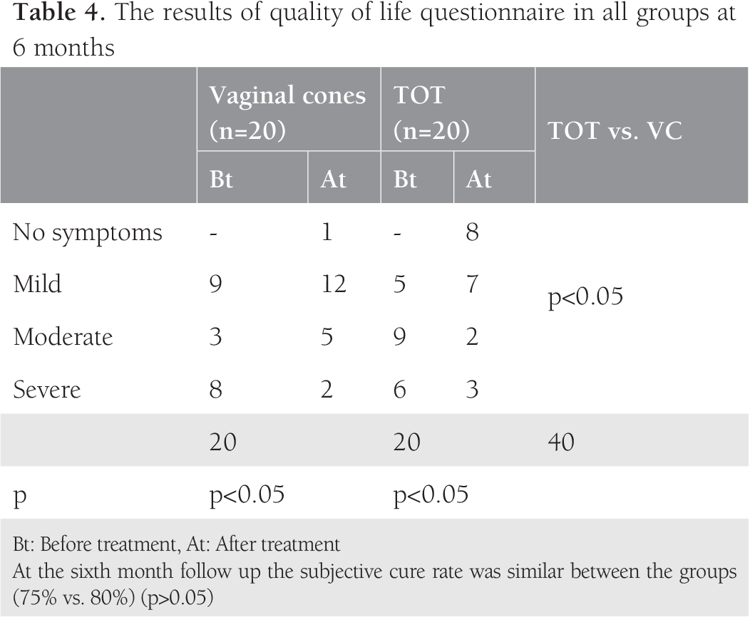 The impact of vaginal cone therapy on stress urinary incontinence ...