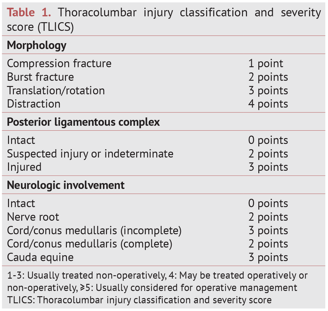 THE RELATIONSHIP BETWEEN TLICS 1-3 AND FUNCTIONAL AND RADIOLOGICAL ...