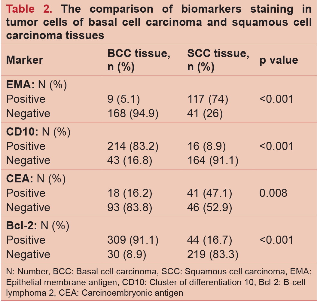 Immunohistochemistry expression of EMA, CD10, CEA, and Bcl-2 in ...
