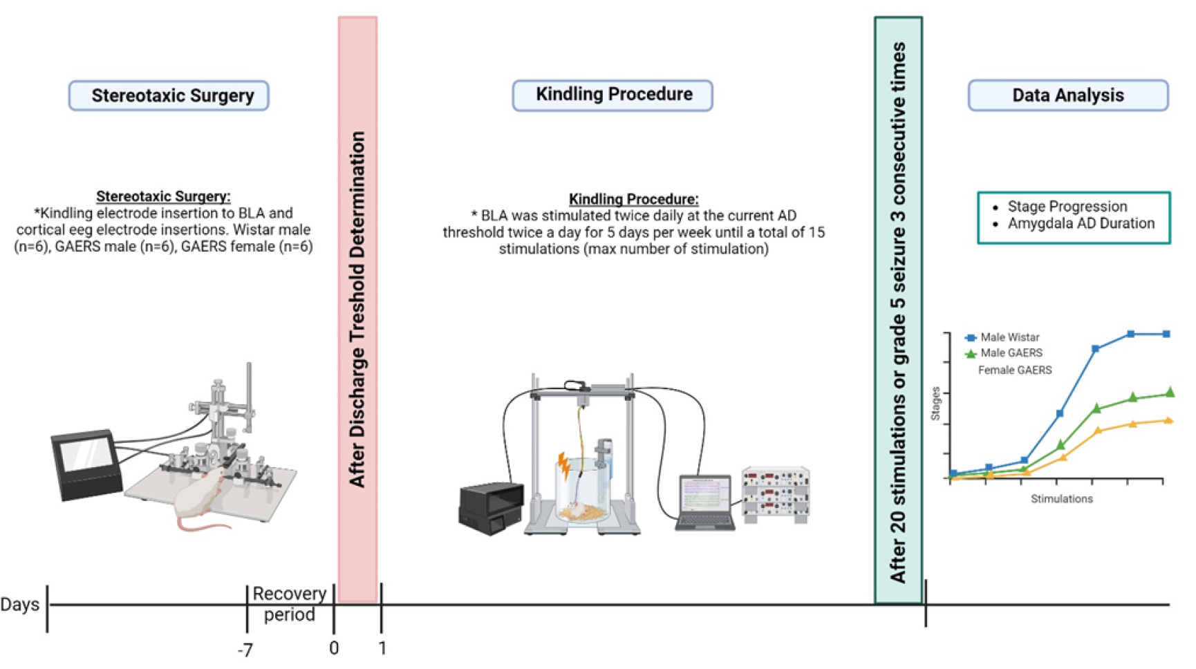 Amygdala Kindling Resistance in Rats with Genetic Absence Epilepsy ...