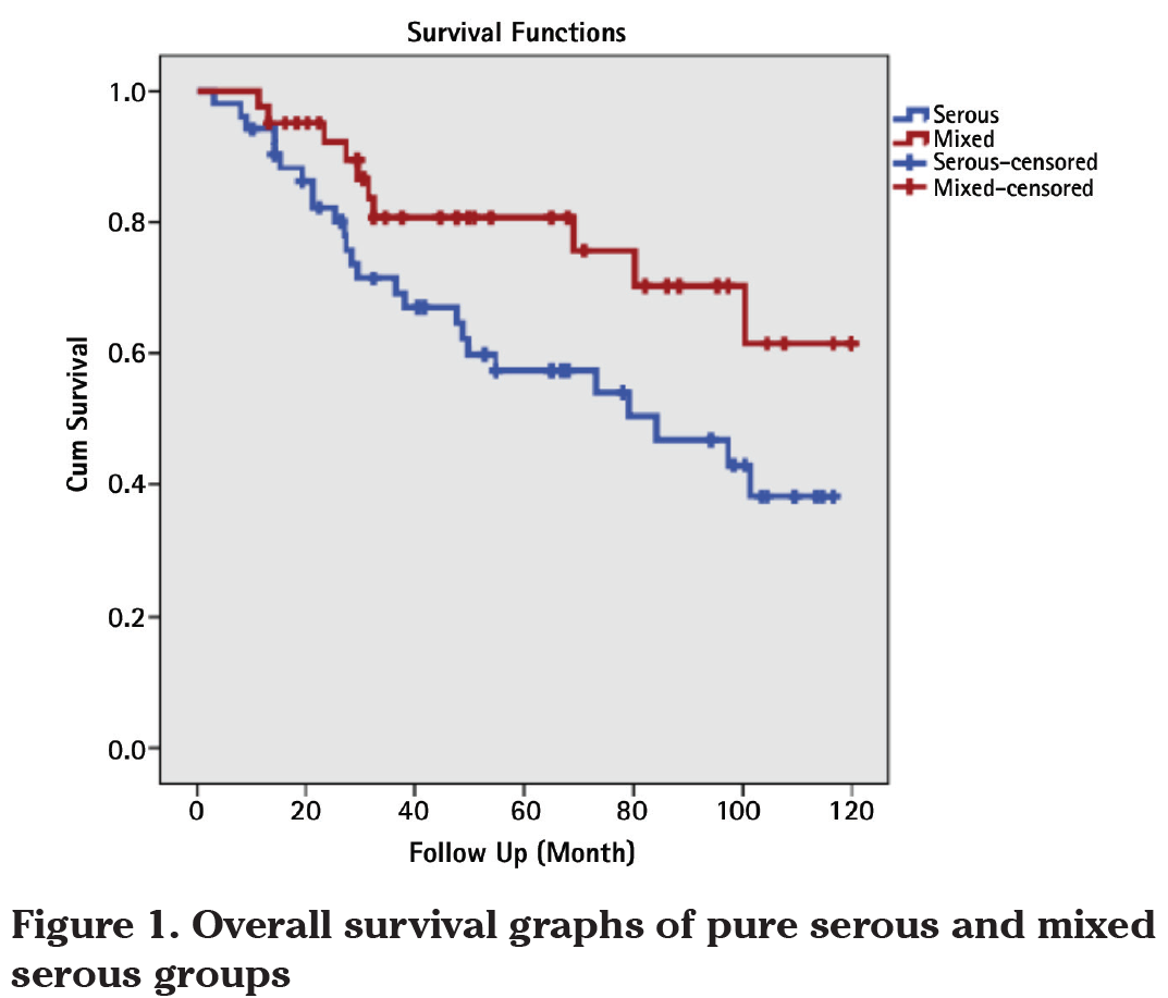 Clinicopathologic and survival results in serous endometrium carcinoma ...