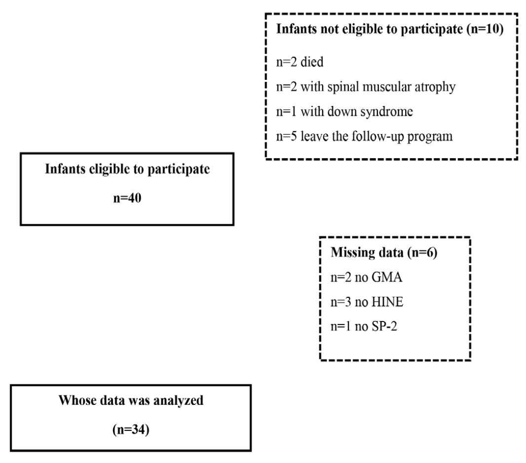 The Prechtl’s General Movement Assessment, Hammersmith Infant ...
