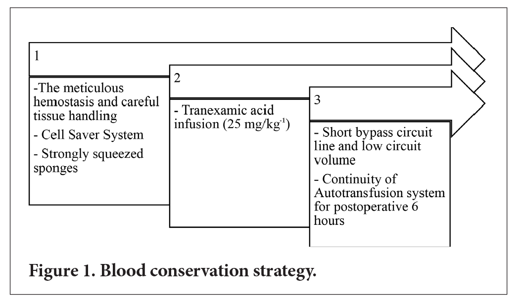 Preoperative Anemia and Female Gender are Risk Factors for Transfusion ...