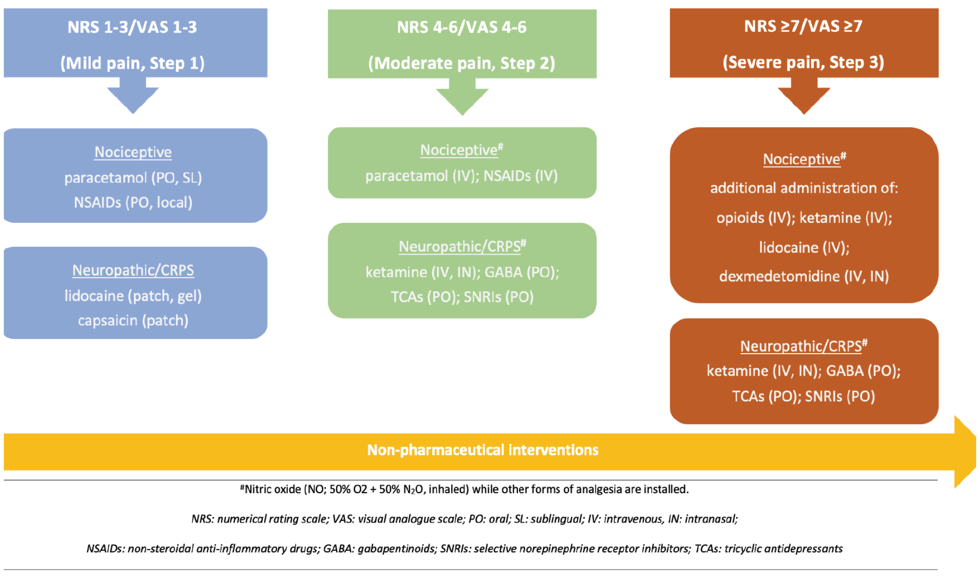 Acute Pain Management in Peripheral Artery Disease: A Holistic, Beyond ...