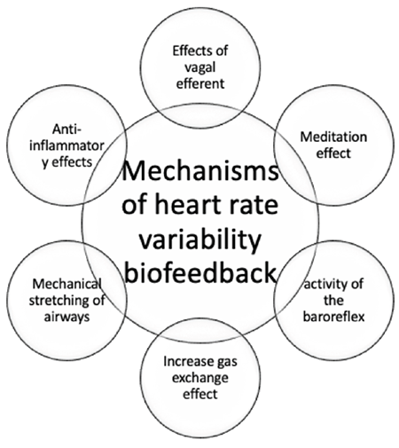 Exploring Heart Rate Variability Biofeedback as a Nonpharmacological ...